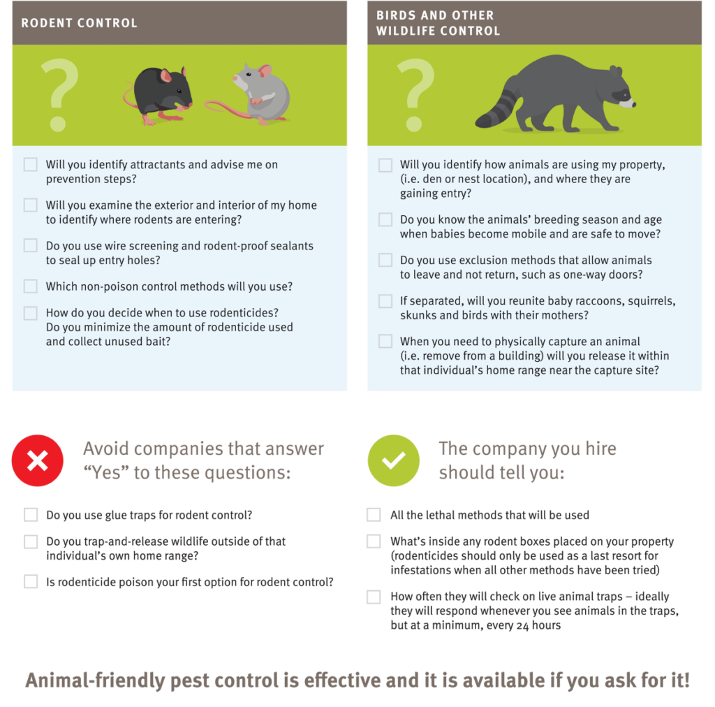 AnimalKind | Choosing a wildlife and rodent control company