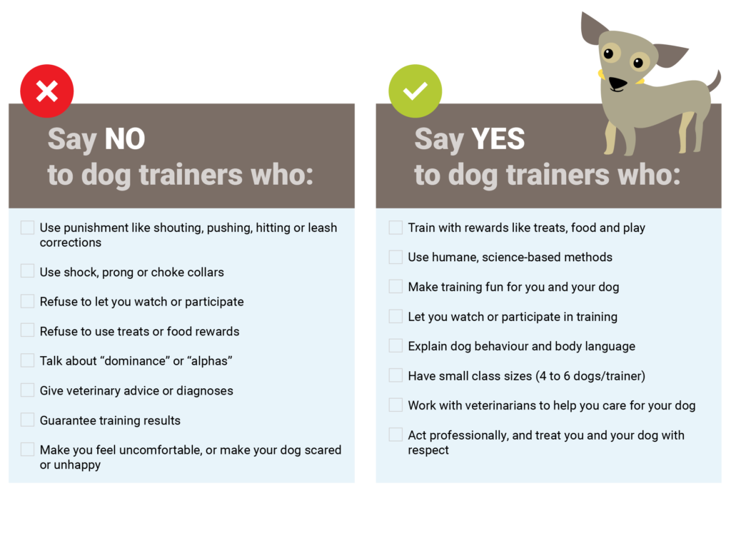 Choosing a humane dog trainer | AnimalKind